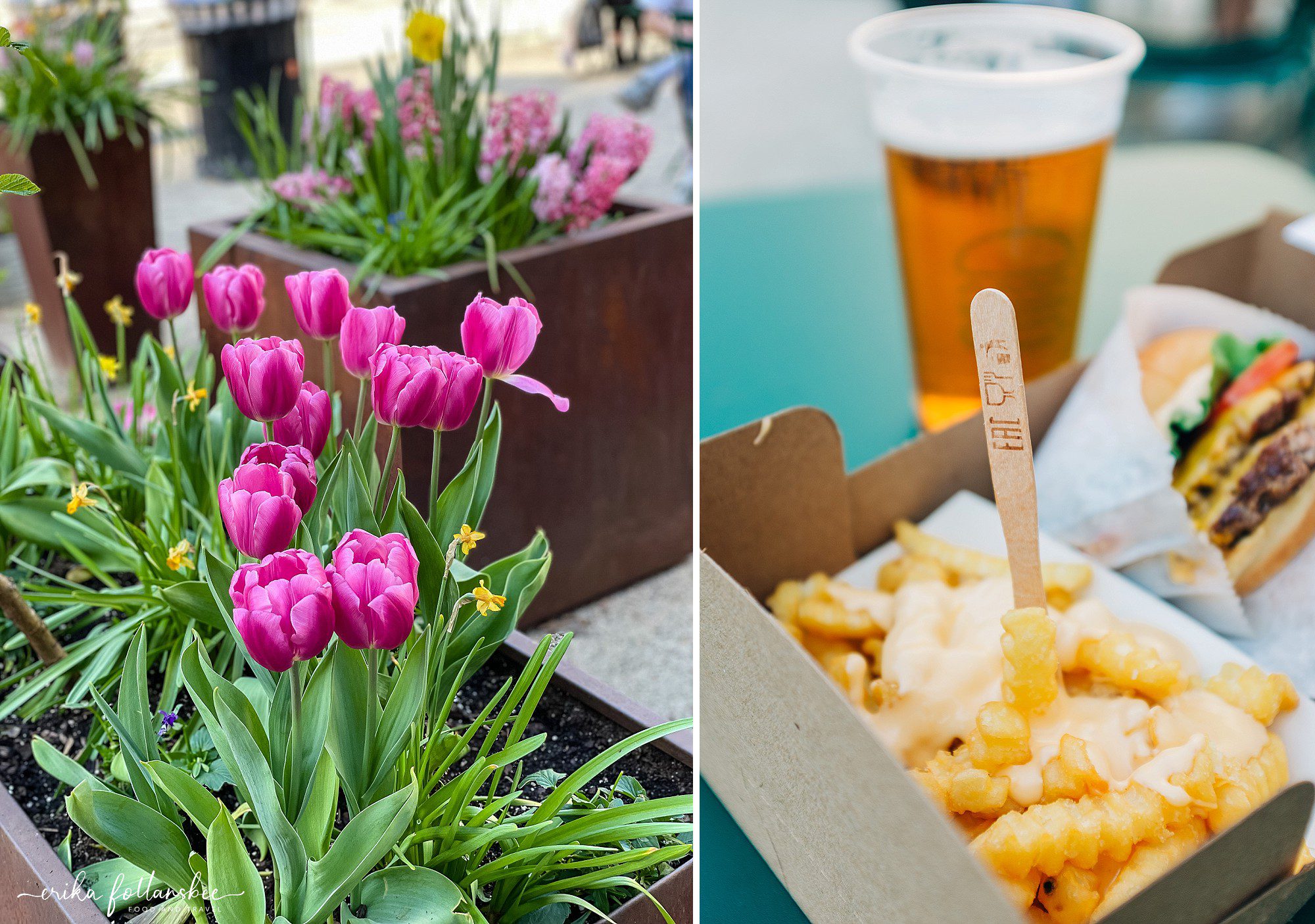 The Original Shake Shack Location at Madison Square Park | NH Travel ...